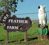 Feather Farm - Company Info